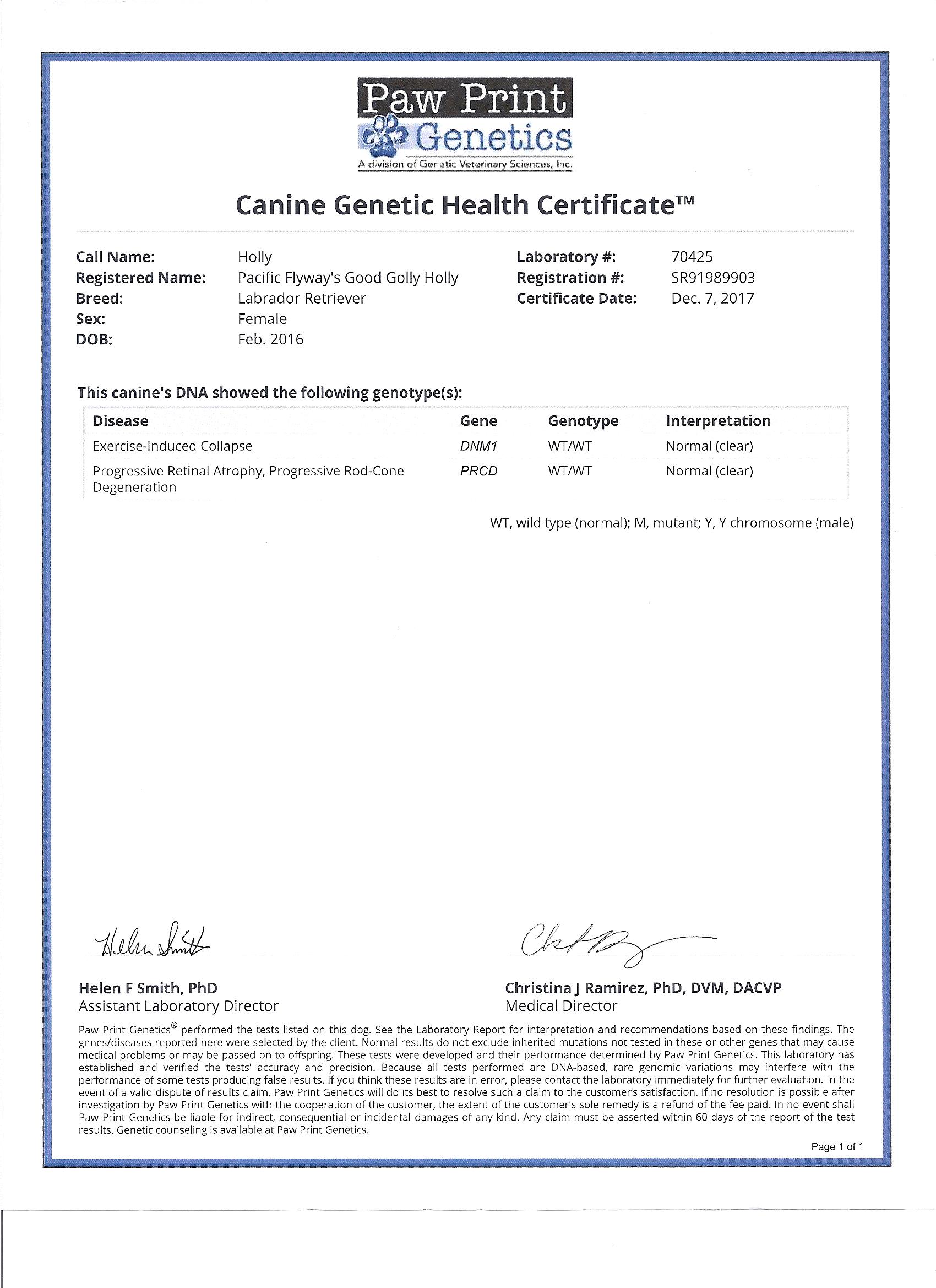 Holly’s EIC, PRA, PRCD 001 | Snake River Retrievers