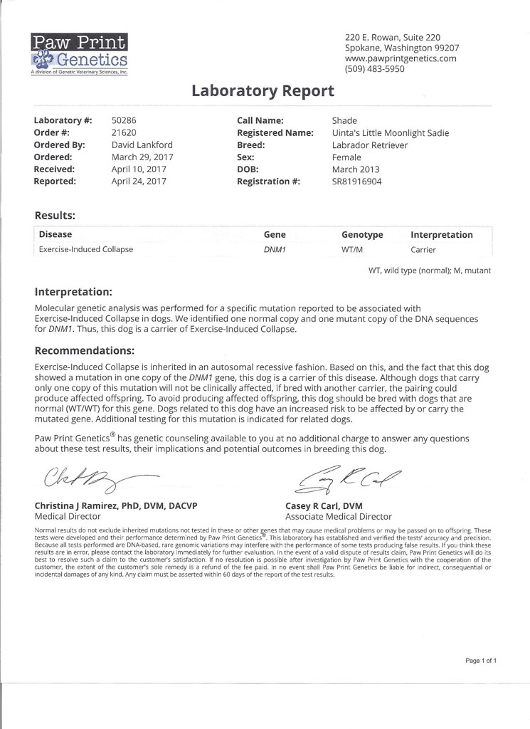 Shade’s EIC-Carrier 001Snake_River_Retrievers_Shade_English_lab ...